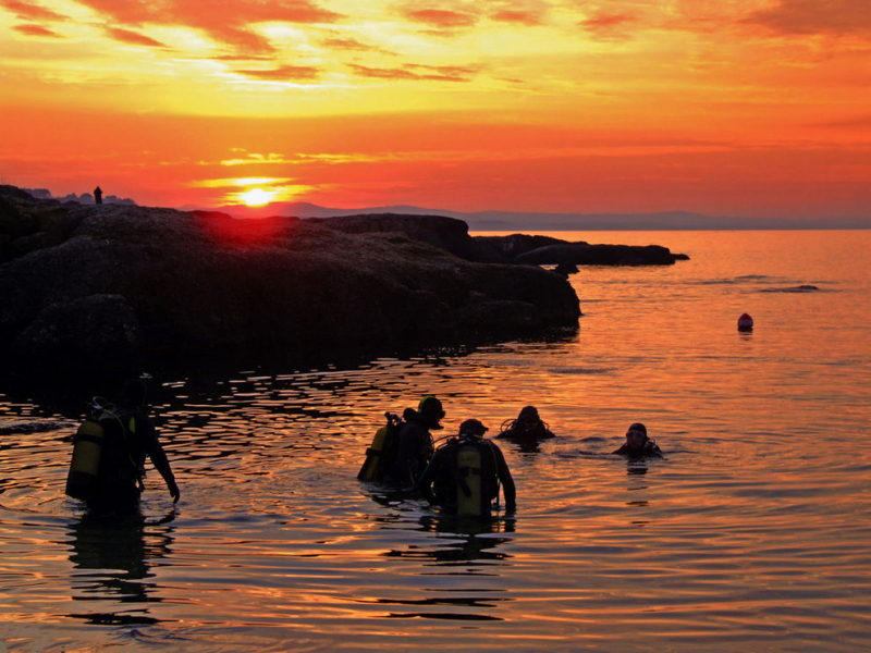 9 Tips To Improve Your Night Diving - San Diego Scuba Guide