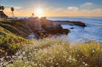 Best Dive Sites in San Diego - San Diego Scuba Guide - Blog