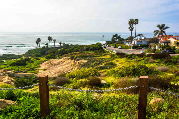 Best Dive Sites in San Diego - San Diego Scuba Guide - Blog
